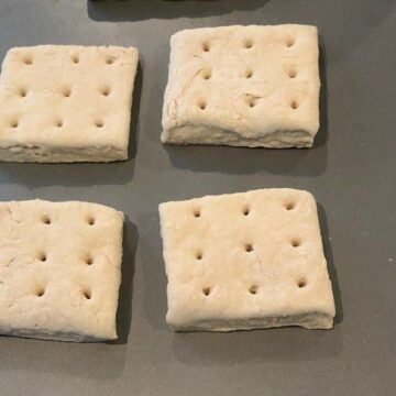 Hardtack Recipe (Survival Bread) - Bread Dad
