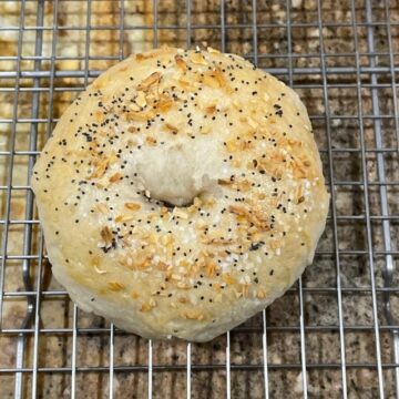 Bread Machine Bagels (Easy Recipe) - Bread Dad