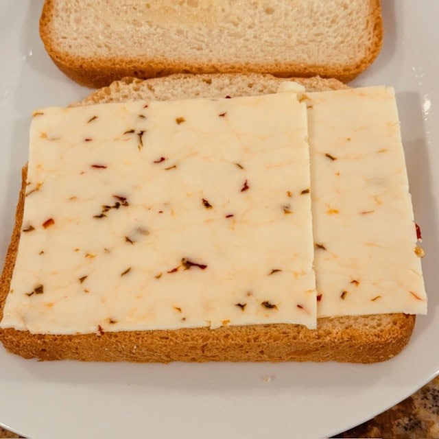 Grilled Cheese Panini Sandwich Recipe - Bread Dad