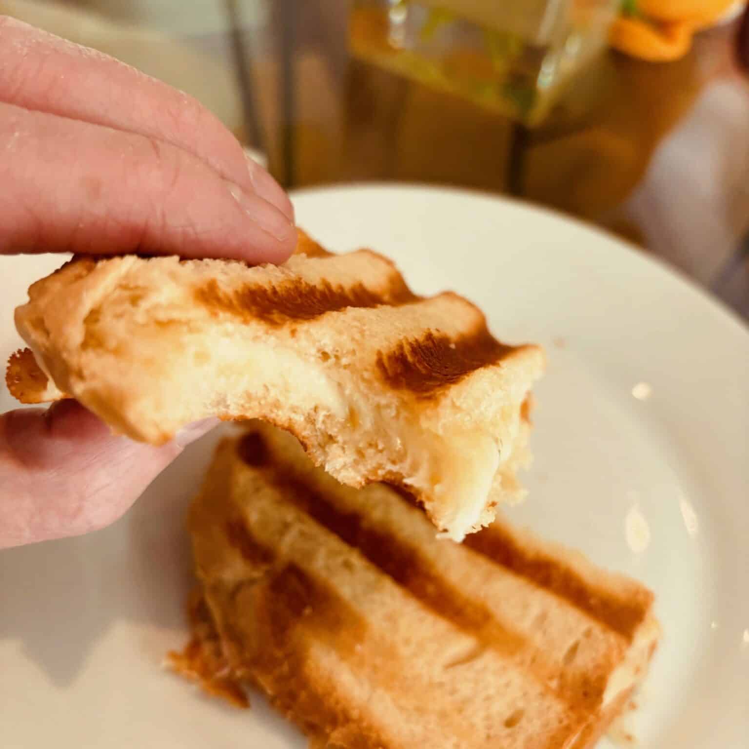 Grilled Cheese Panini Sandwich Recipe - Bread Dad