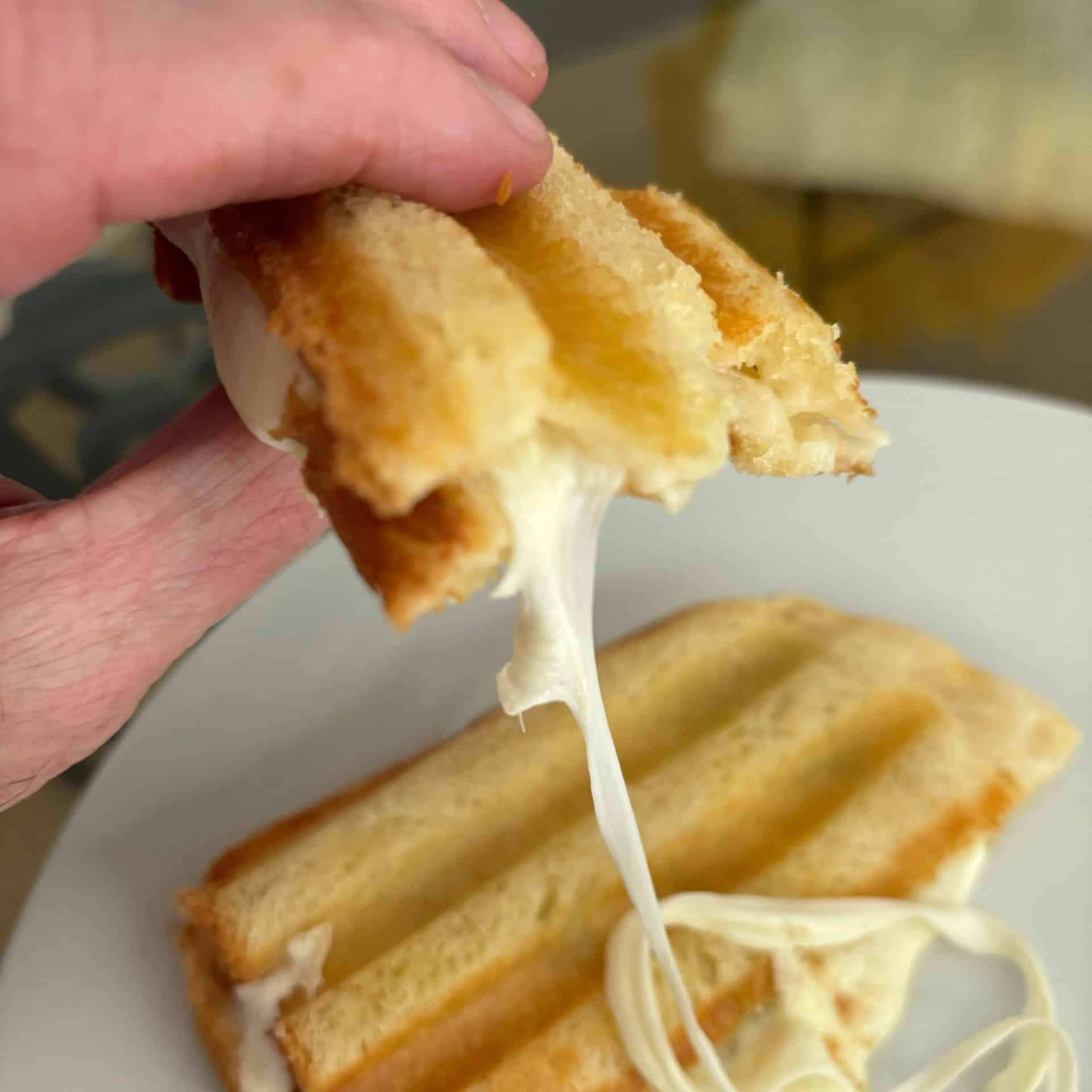 20+ Grilled Cheese & Panini Recipes - Bread Dad